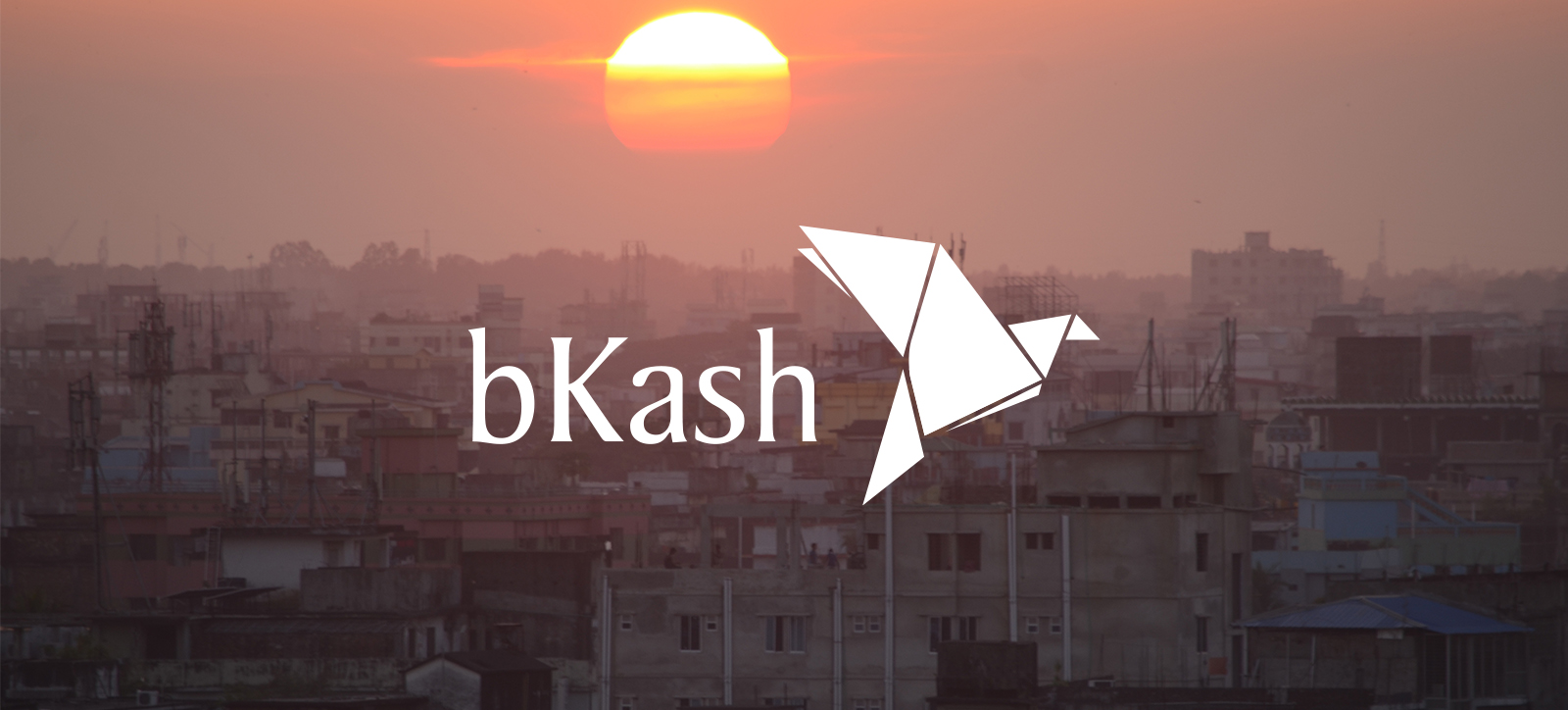 How bKash became king: Three steps to balance purpose with profit ...