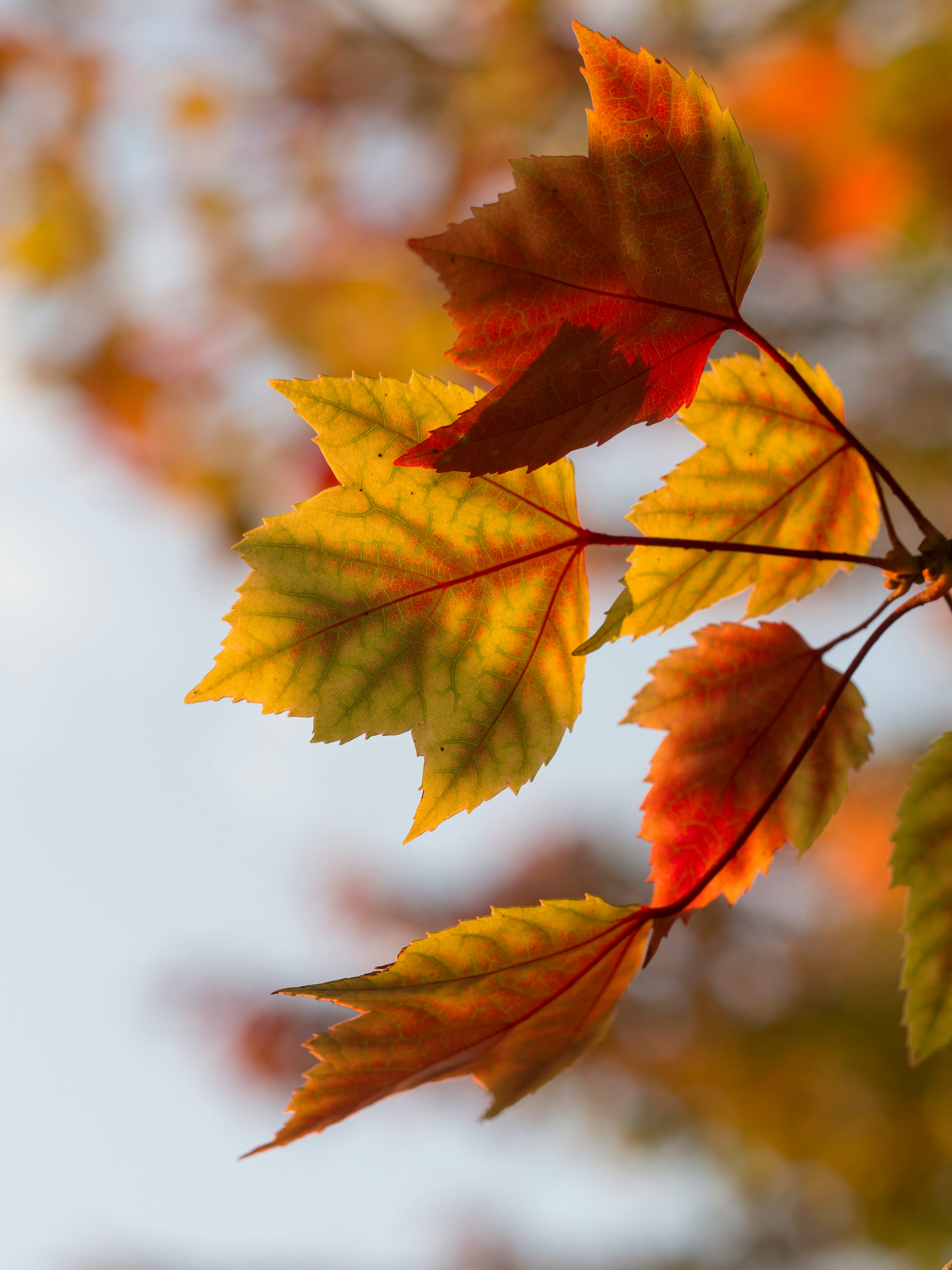 How to make the most of autumn days on campus | Undergraduate | Warwick ...